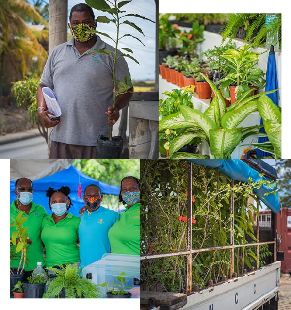 National Conservation Commission – Barbados Parks, Beaches and Much More