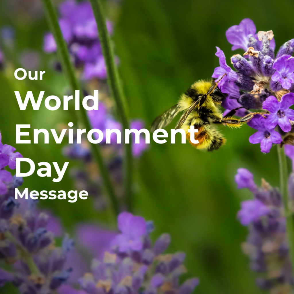 Beach Access – National Conservation Commission